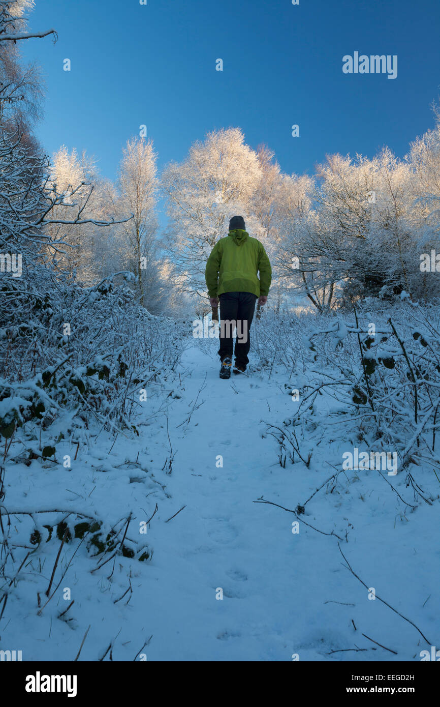 A person walking along a snow covered path in a SSSI in the village of ...