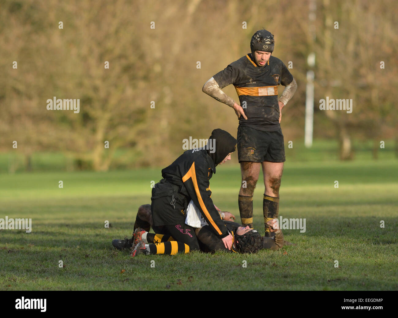 Concerned rugby player hi-res stock photography and images - Alamy
