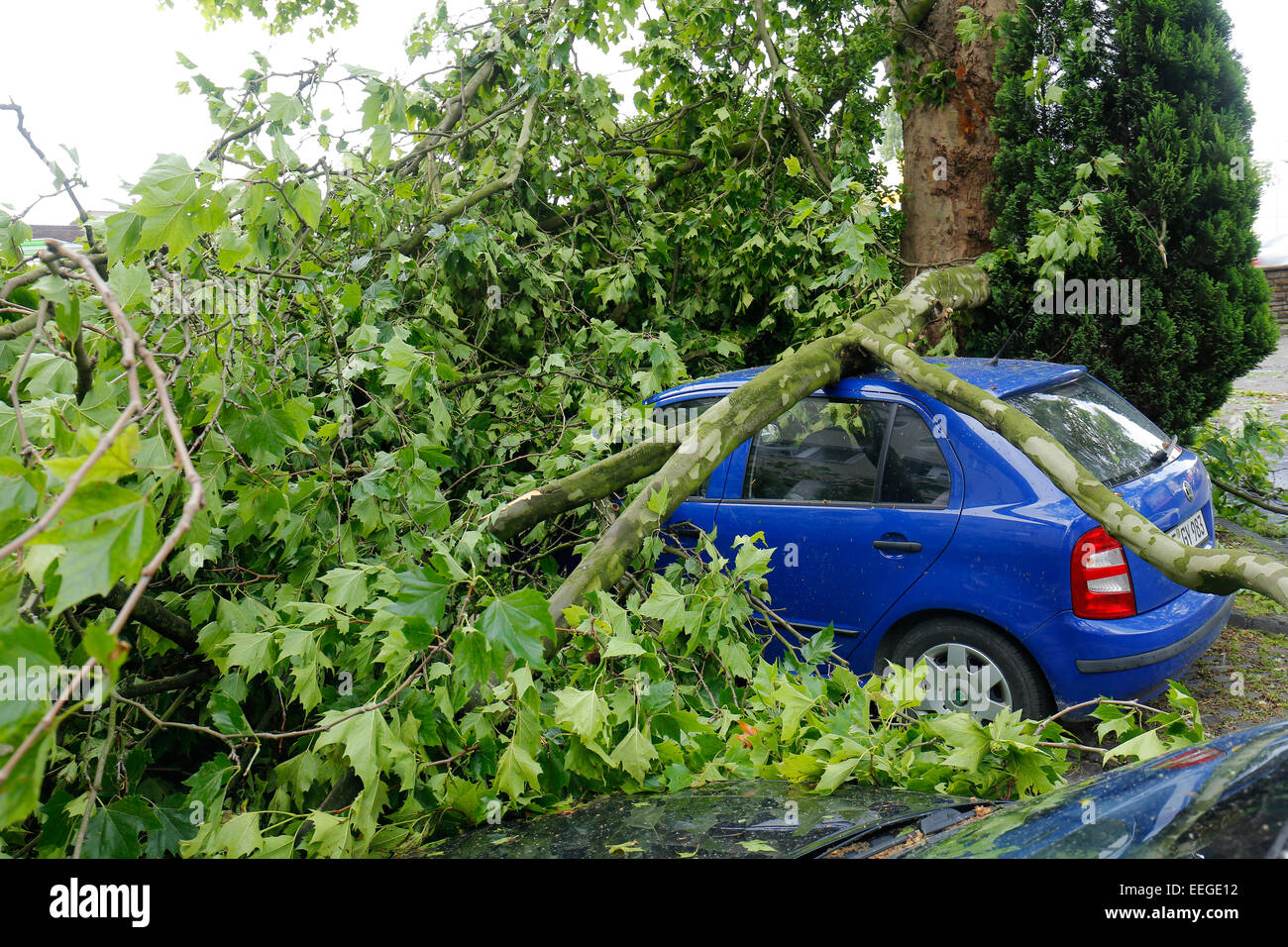 Essen, Germany, Storm Damage to severe weather in NRW Stock Photo - Alamy