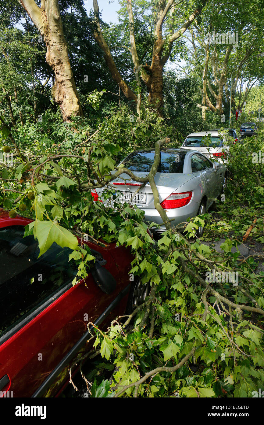 Essen, Germany, Storm Damage to severe weather in NRW Stock Photo - Alamy