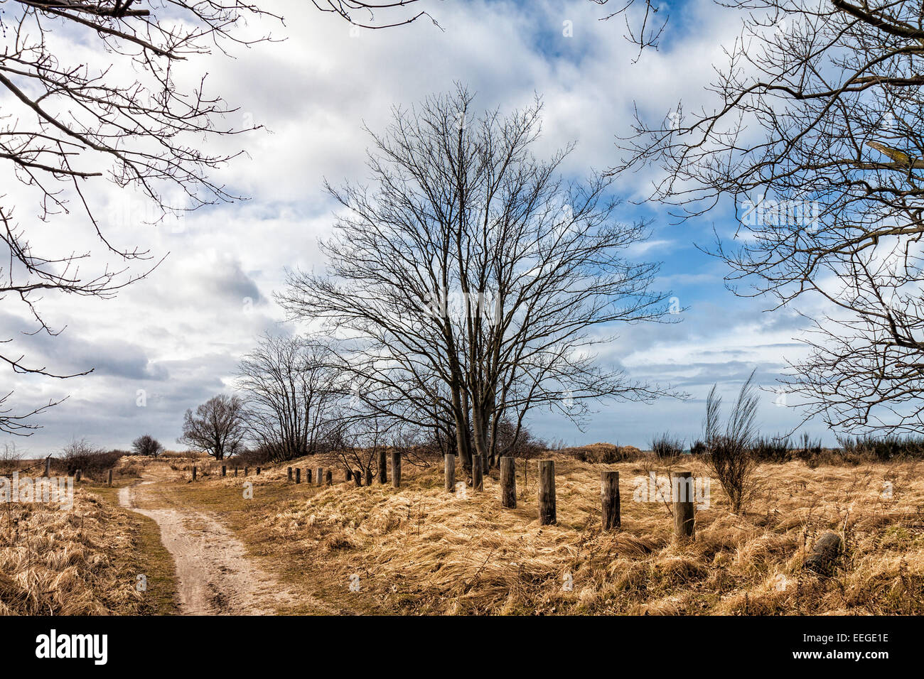Baltic Way High Resolution Stock Photography and Images - Alamy