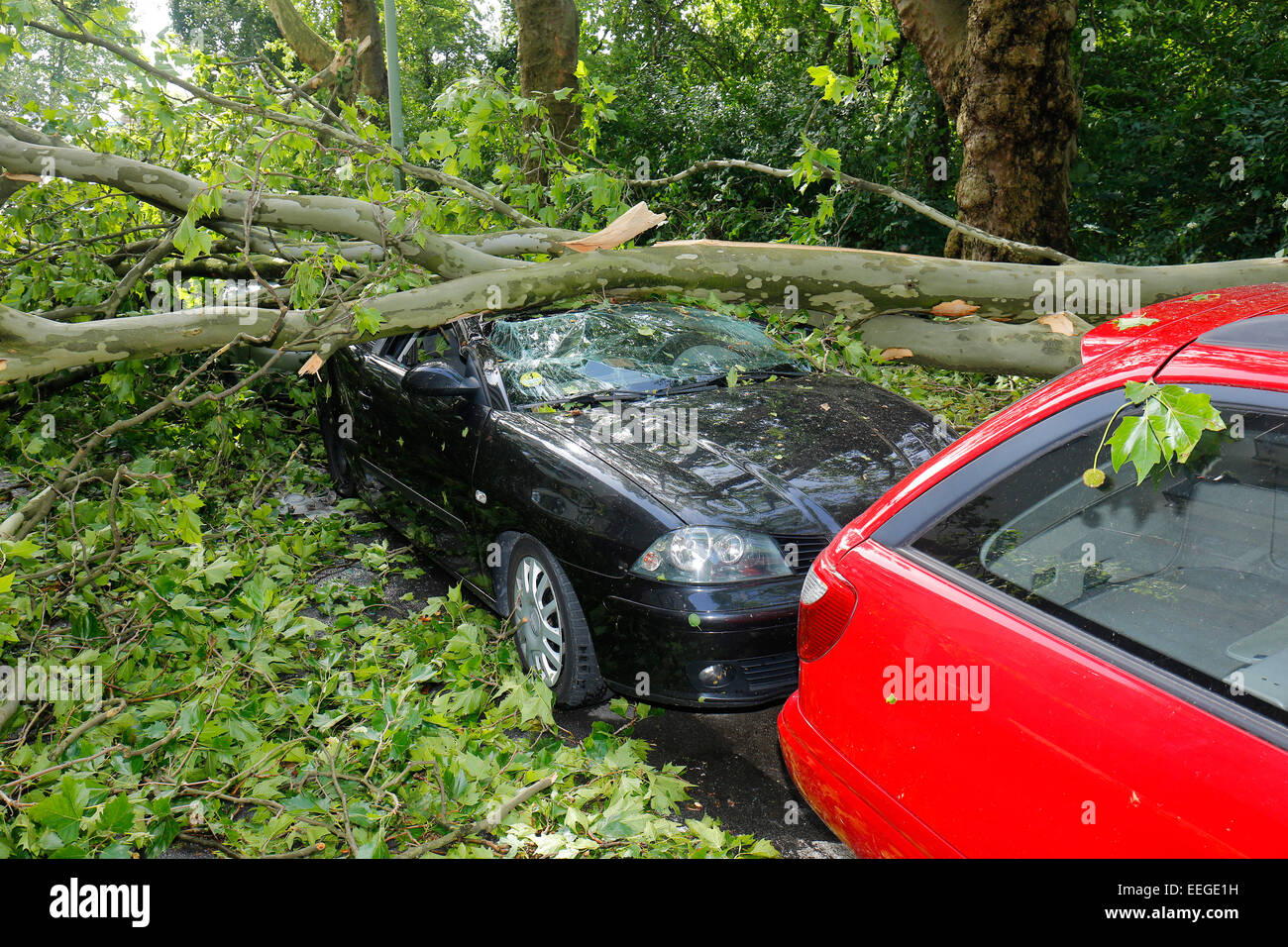 Essen, Germany, Storm Damage to severe weather in NRW Stock Photo - Alamy