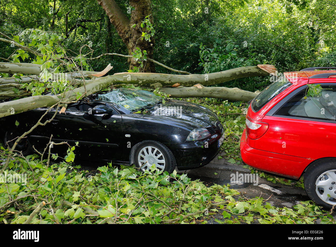 Essen, Germany, Storm Damage to severe weather in NRW Stock Photo - Alamy