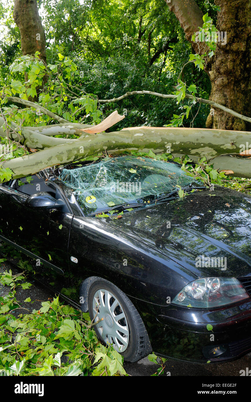 Essen, Germany, Storm Damage to severe weather in NRW Stock Photo - Alamy