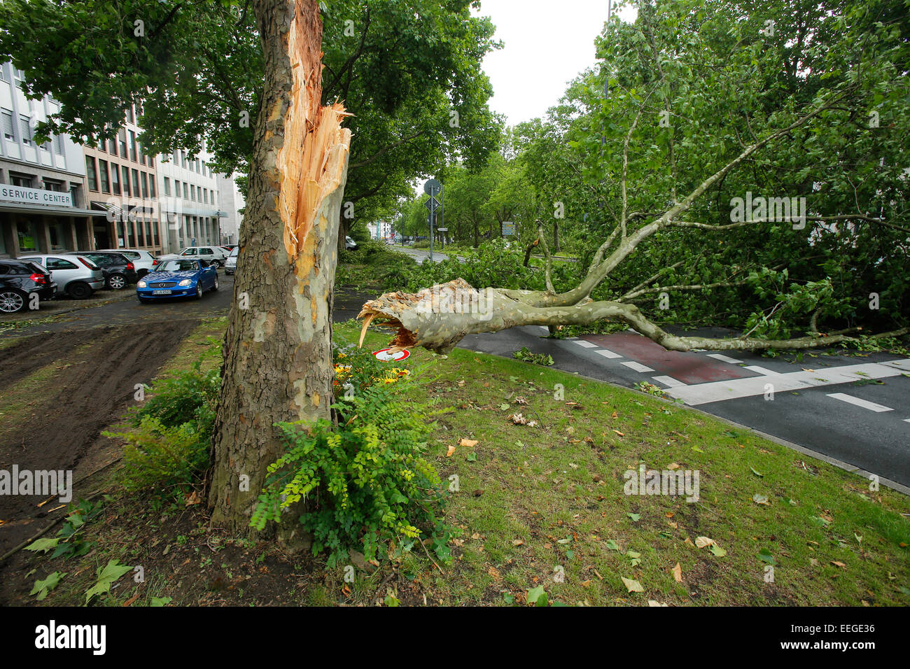 Essen, Germany, Storm Damage to severe weather in NRW Stock Photo - Alamy