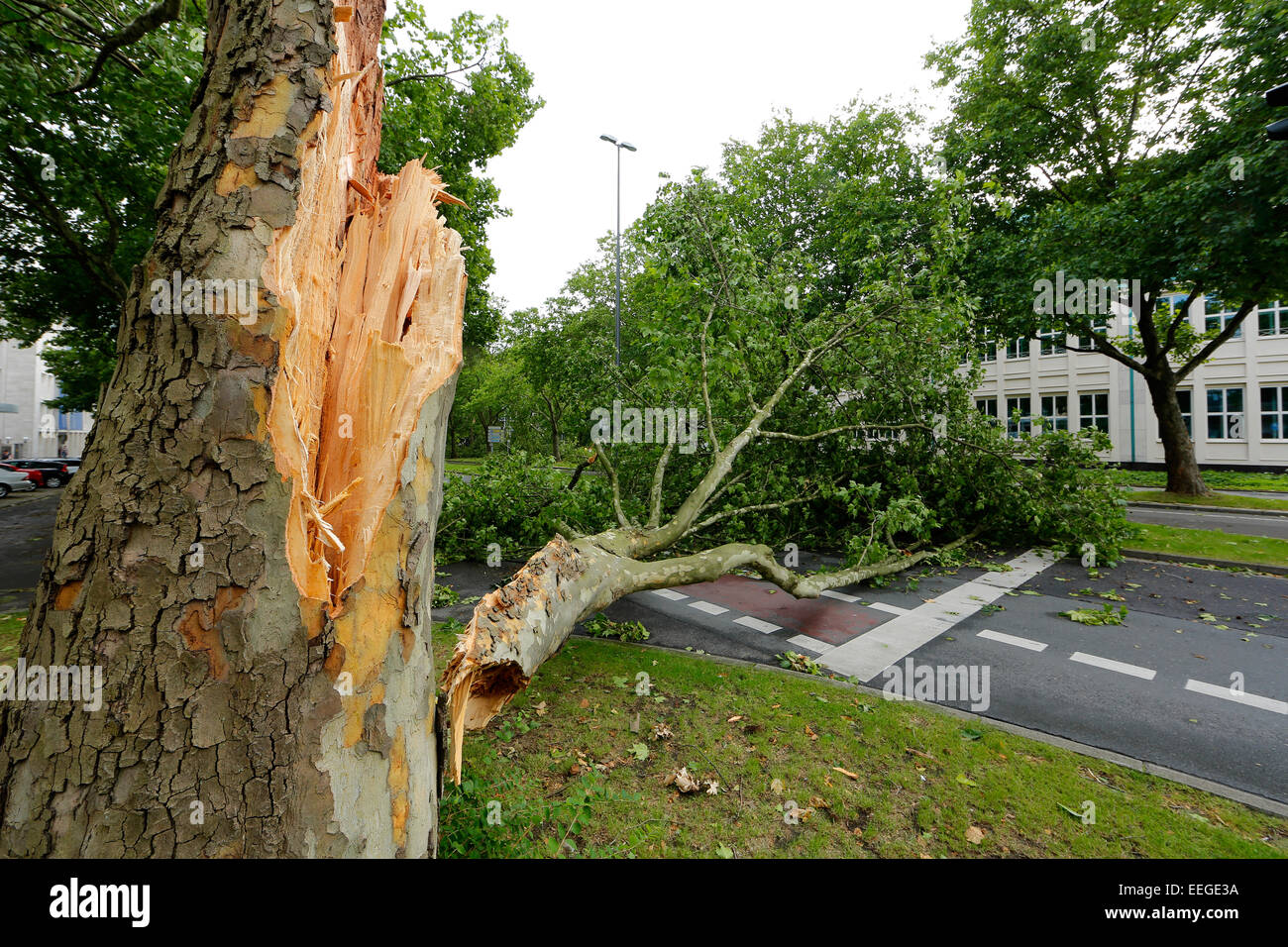 Essen, Germany, Storm Damage to severe weather in NRW Stock Photo - Alamy