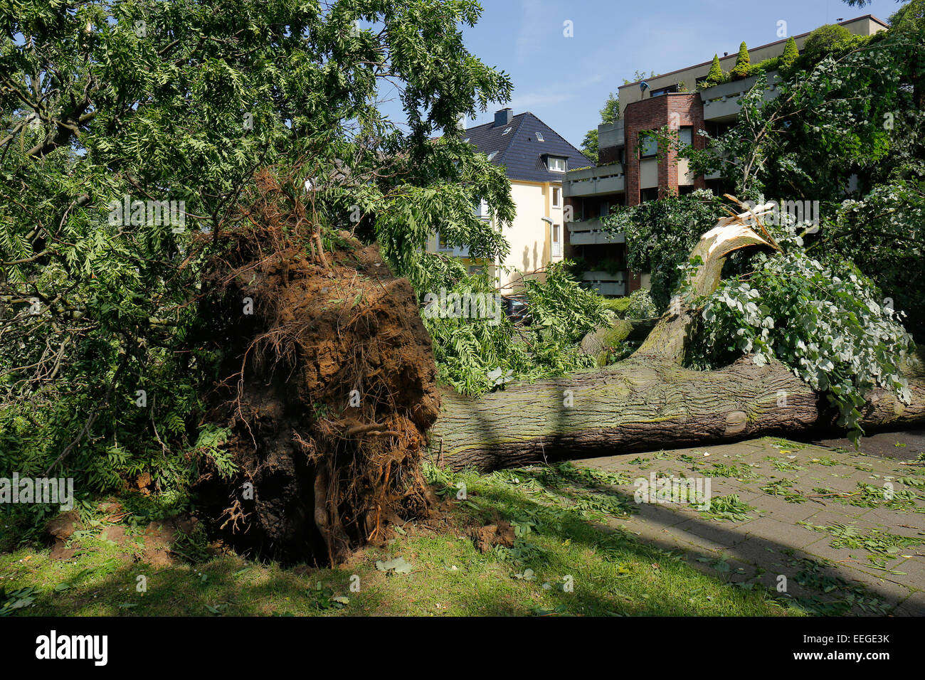 Severe weather damage hi-res stock photography and images - Alamy