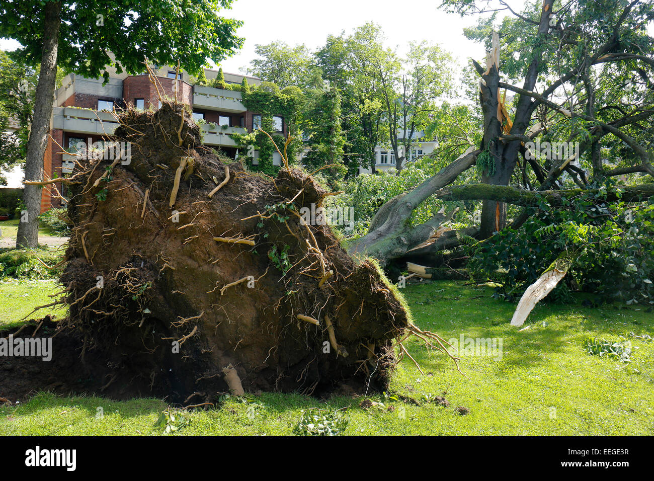 Essen, Germany, Storm Damage to severe weather in NRW Stock Photo - Alamy