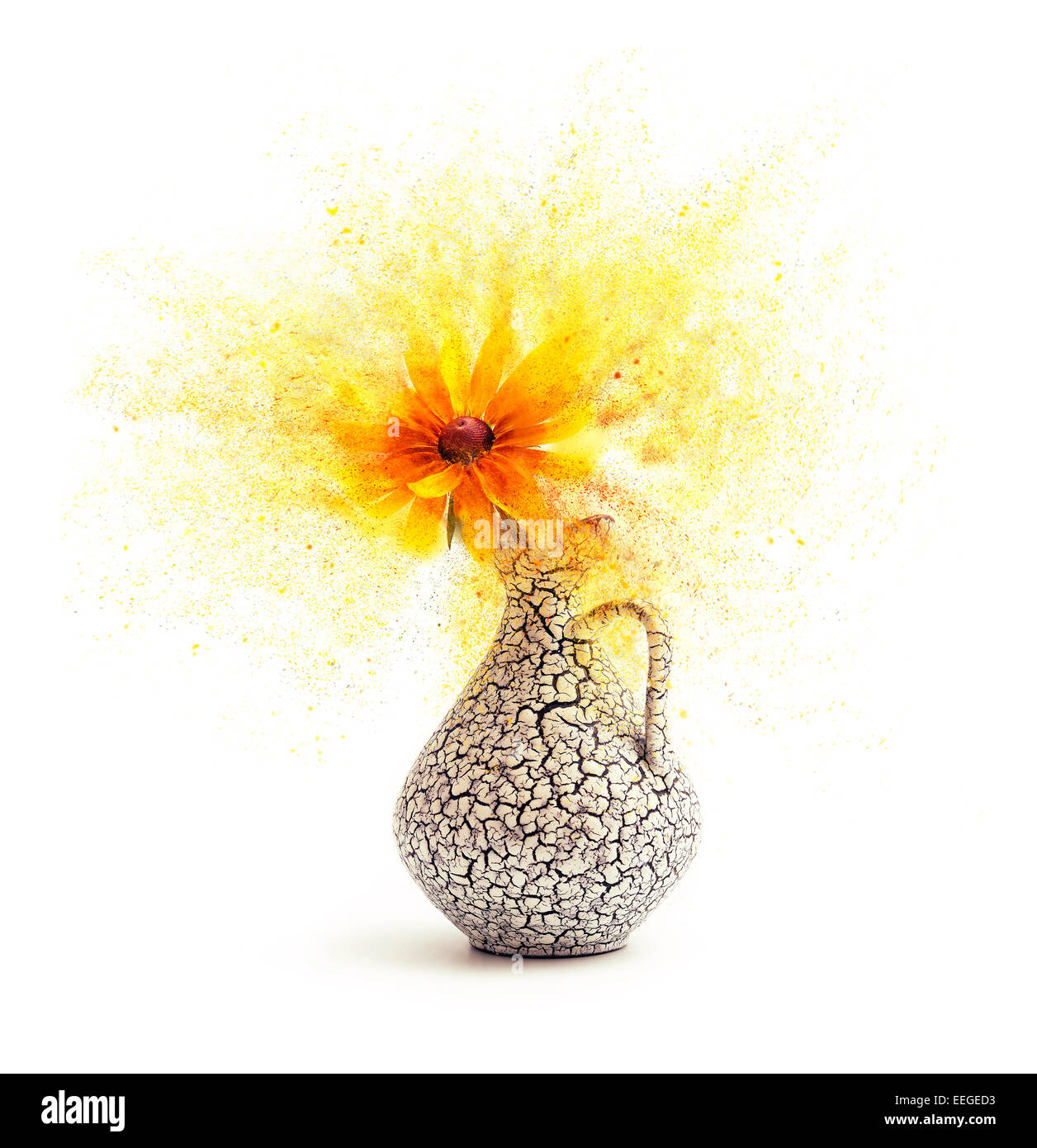 Flower parts Cut Out Stock Images & Pictures - Alamy