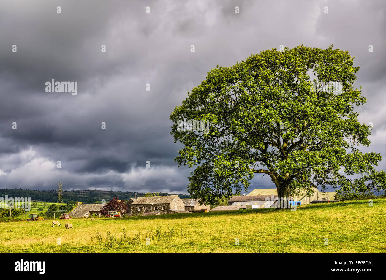 Rural scene in Cumbria Stock Photo - Alamy
