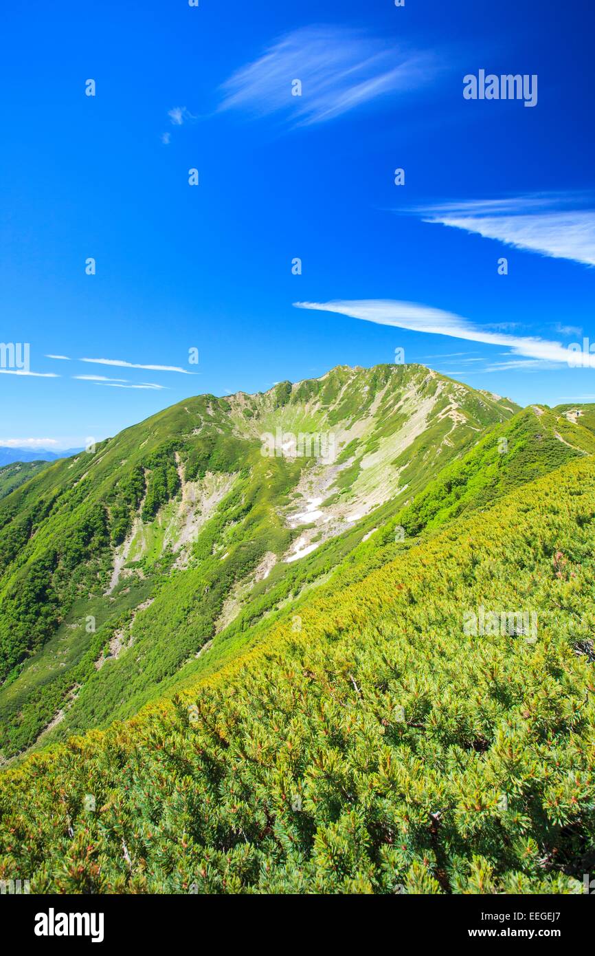 Southern Alps Mt. Senjougatake, Yamanashi, Japan Stock Photo - Alamy