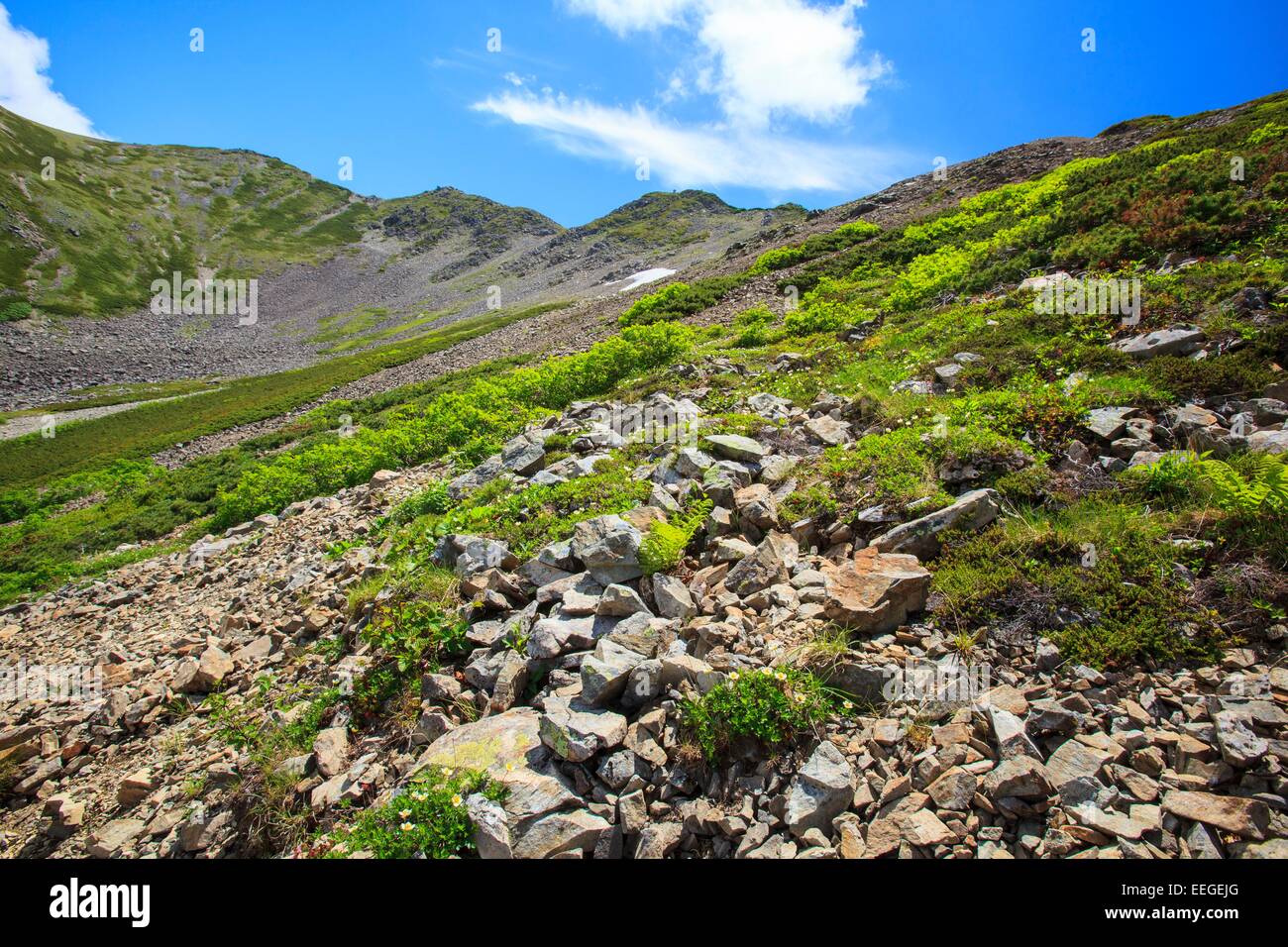 Southern Alps Mt. Senjougatake, Yamanashi, Japan Stock Photo - Alamy