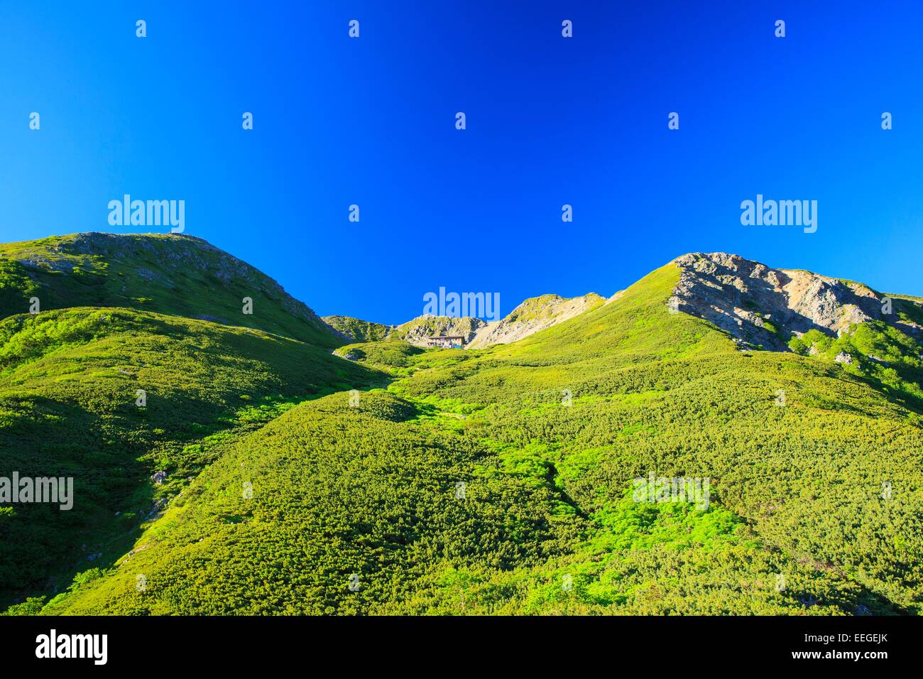 Southern Alps Mt. Senjougatake, Yamanashi, Japan Stock Photo - Alamy