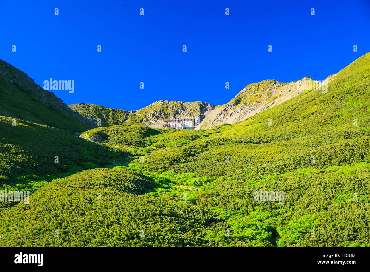 Southern Alps Mt. Senjougatake, Yamanashi, Japan Stock Photo - Alamy