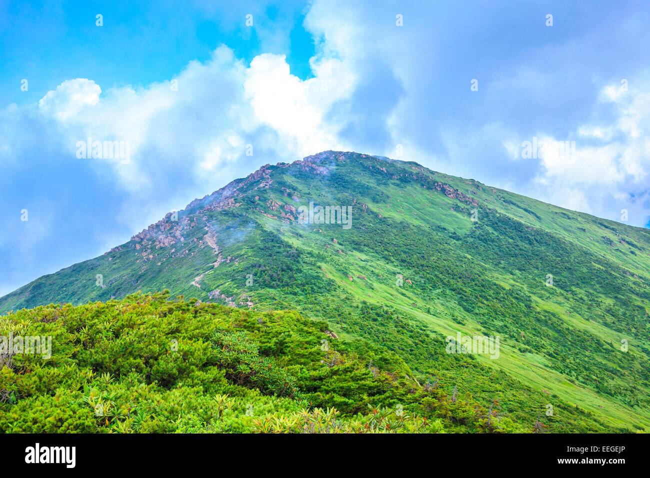 Summer of Mt. Shibutu, Oze National Park, Japan Stock Photo - Alamy
