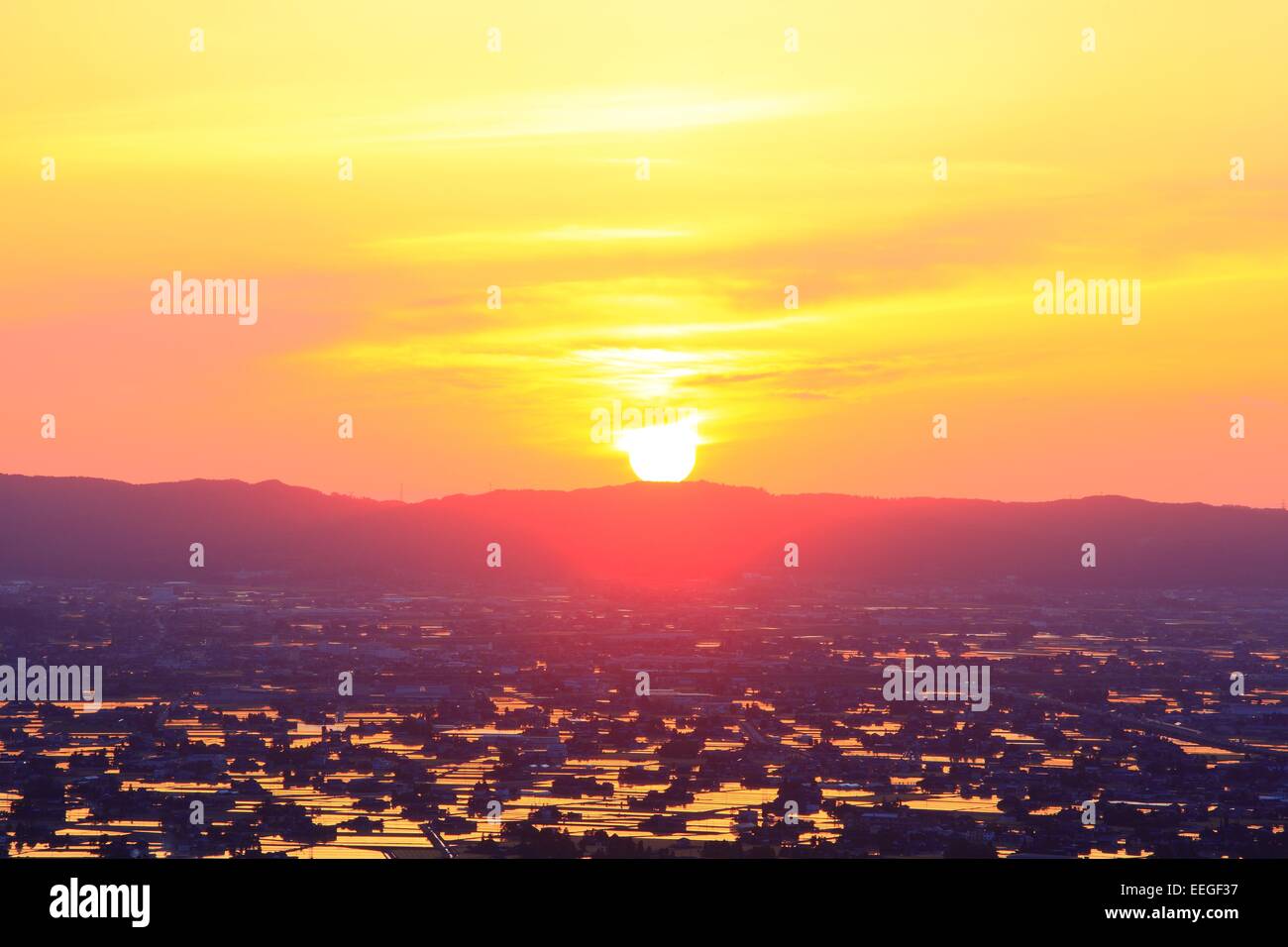Flooded rice fields japan hi-res stock photography and images - Alamy