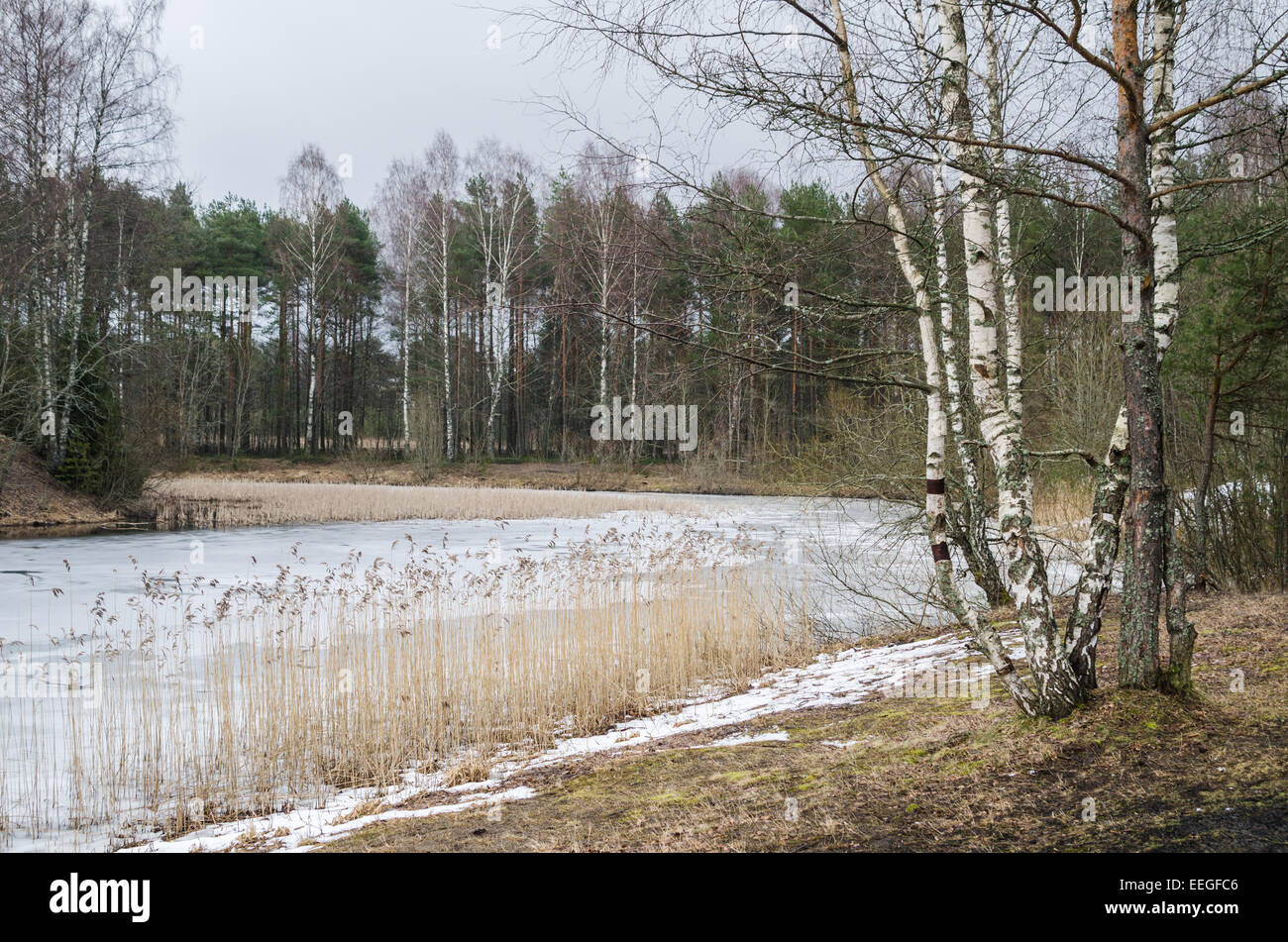 March landscape hi-res stock photography and images - Alamy