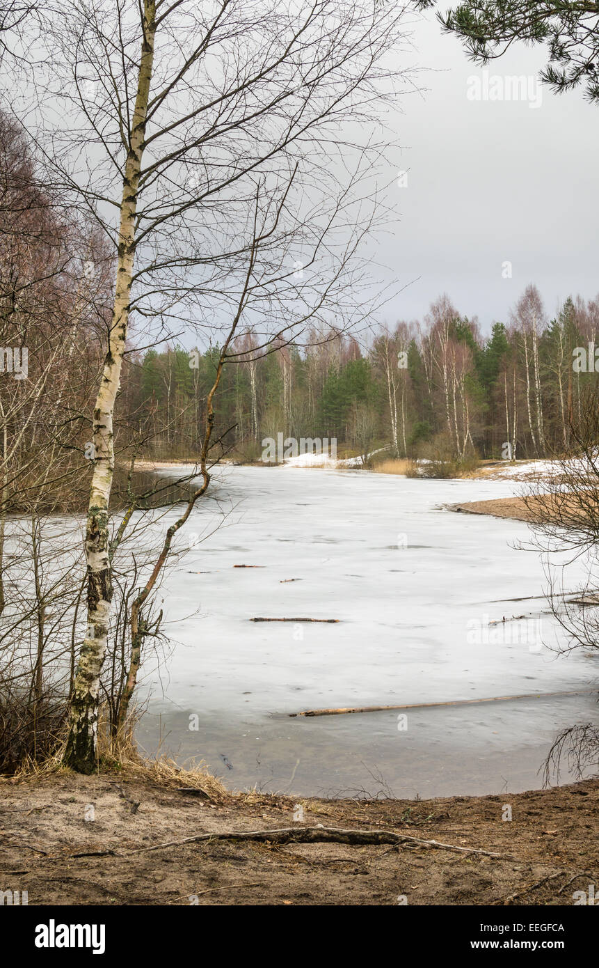 Spring March landscape at wood lake Stock Photo - Alamy