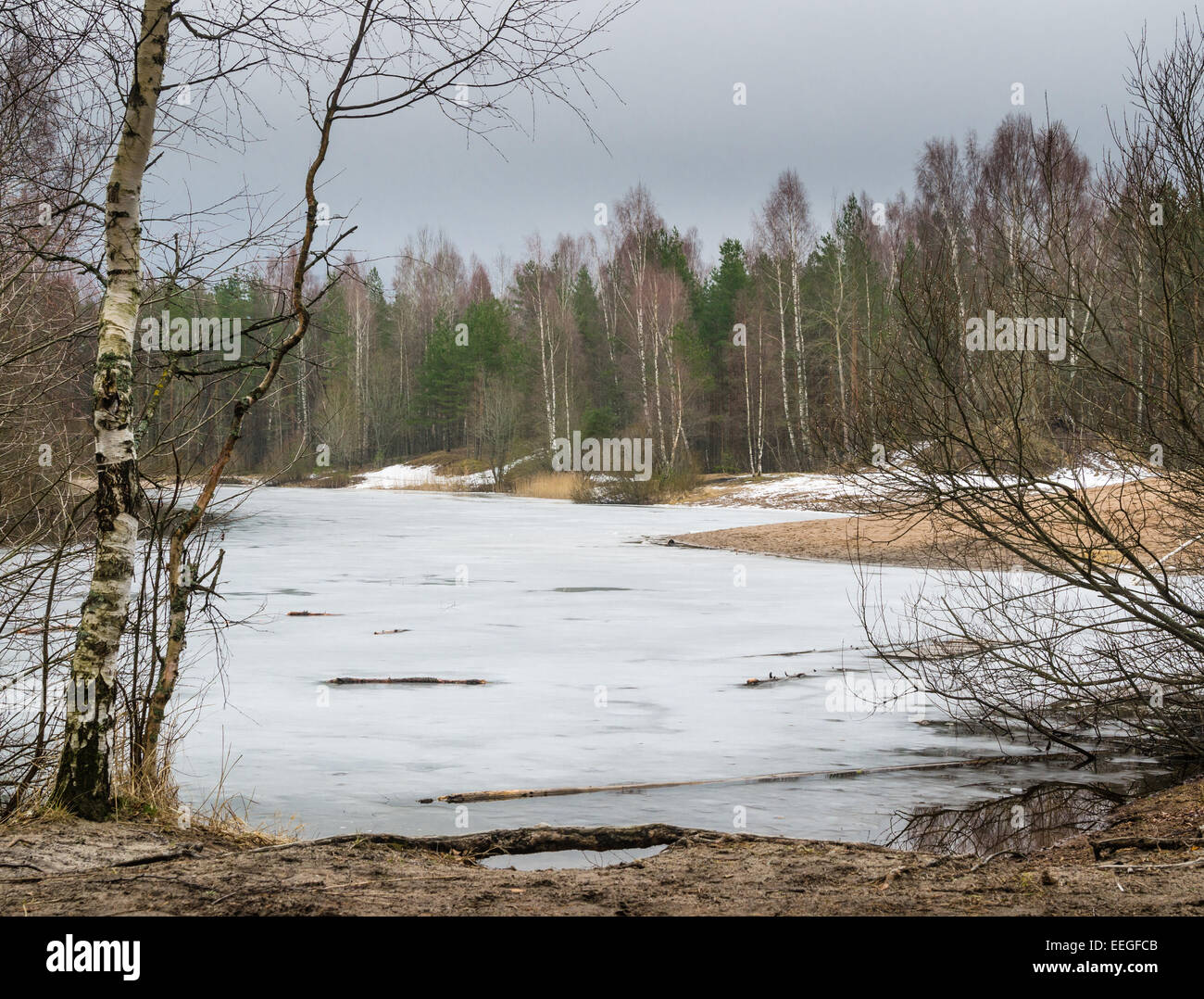 Spring March landscape at wood lake Stock Photo - Alamy