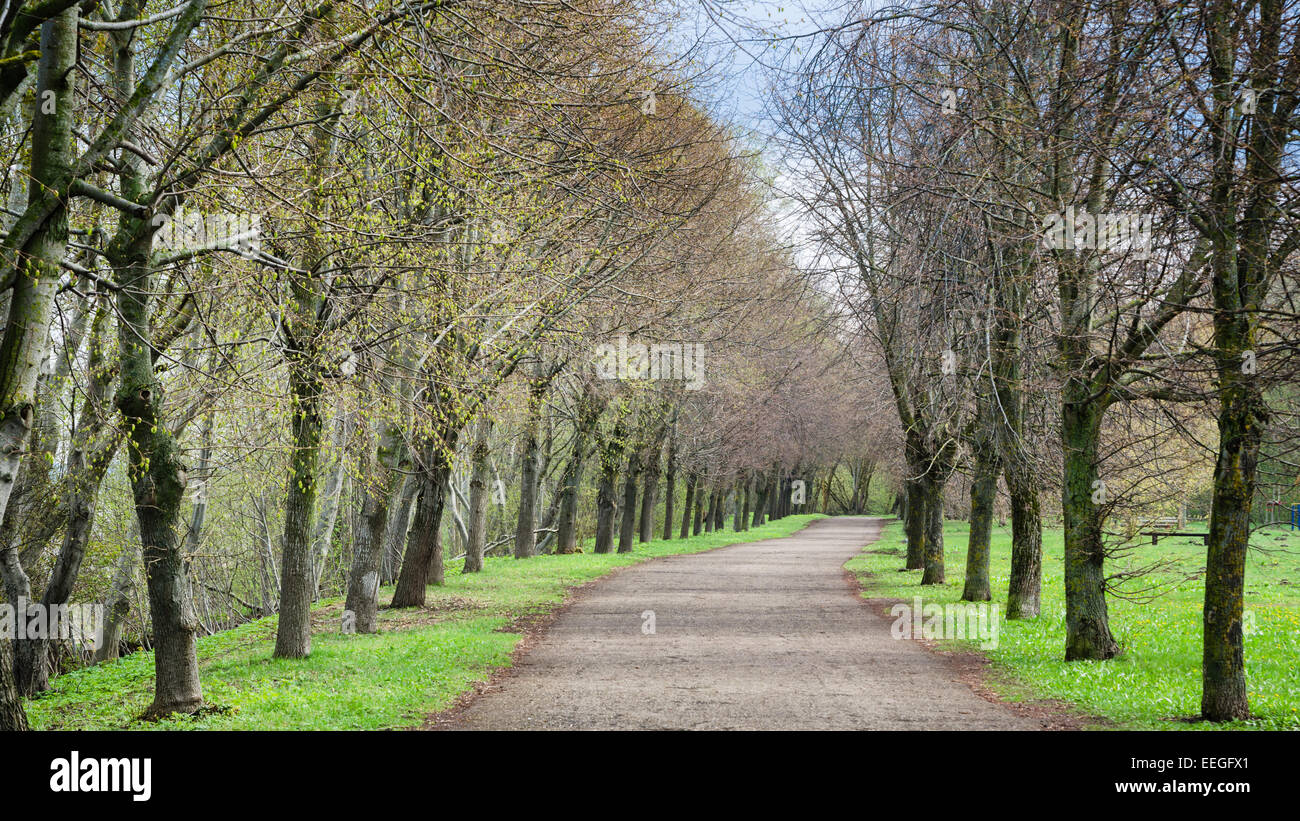 Alley in Spring Park Stock Photo - Alamy