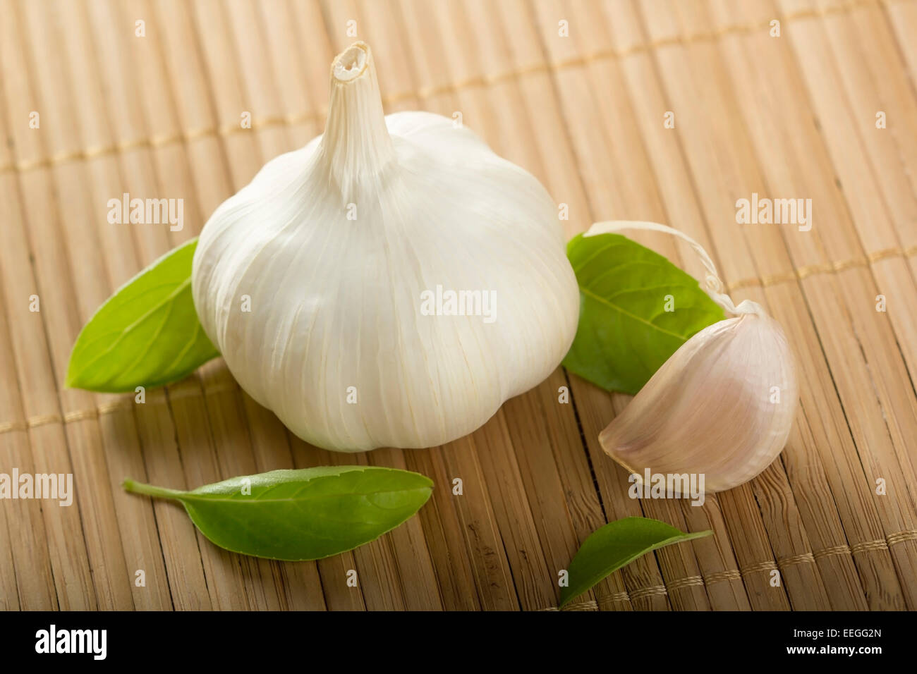 Rug of leaves hi-res stock photography and images - Alamy
