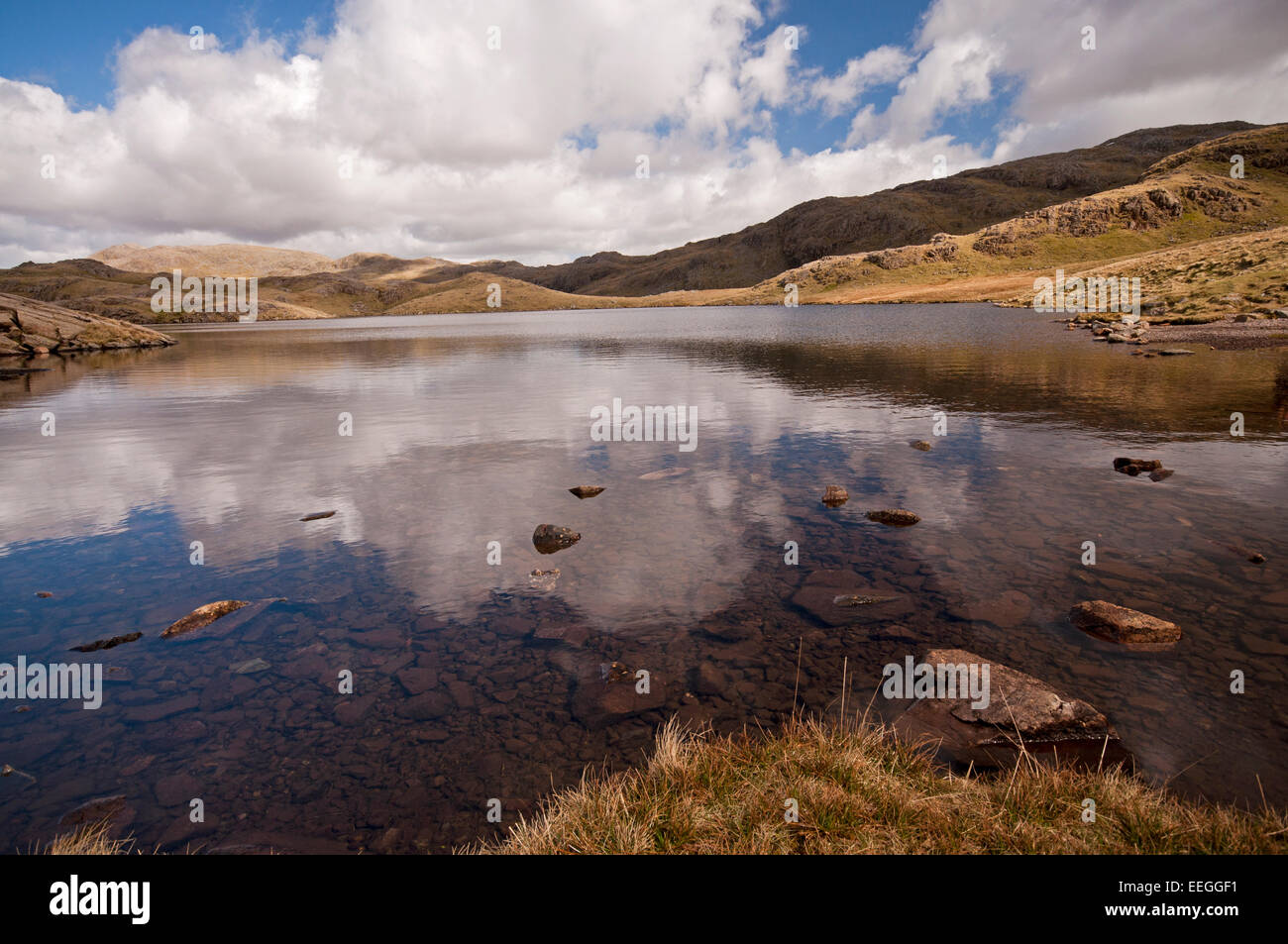 Sprinkling Tarn in the Lake District National Park Stock Photo - Alamy
