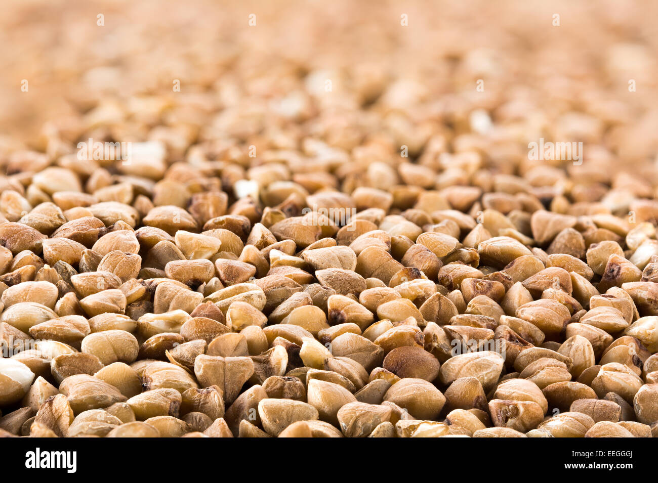 Isolation on a white background and folding of several images with ...