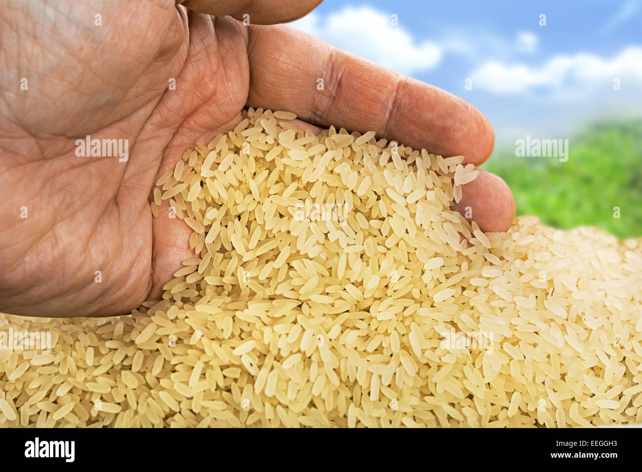 long grain brown rice. great food background Stock Photo - Alamy