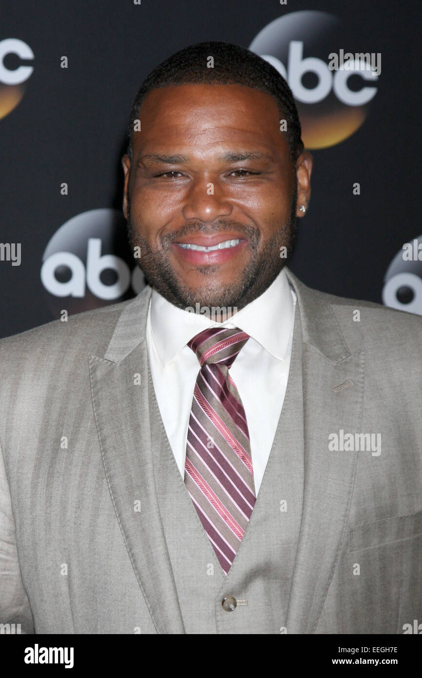 Disney ABC TCA 2014 Summer Press Tour - Arrivals Featuring: Anthony ...