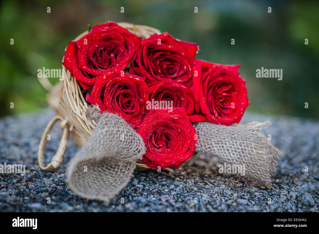 Red roses greetings hi-res stock photography and images - Alamy