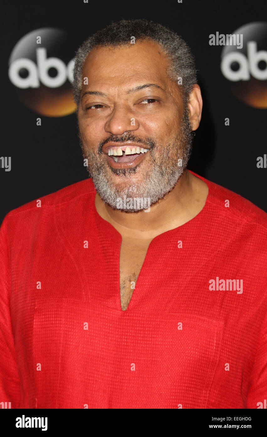 Disney | ABC TCA 2014 Summer Press Tour held at The Beverly Hilton ...