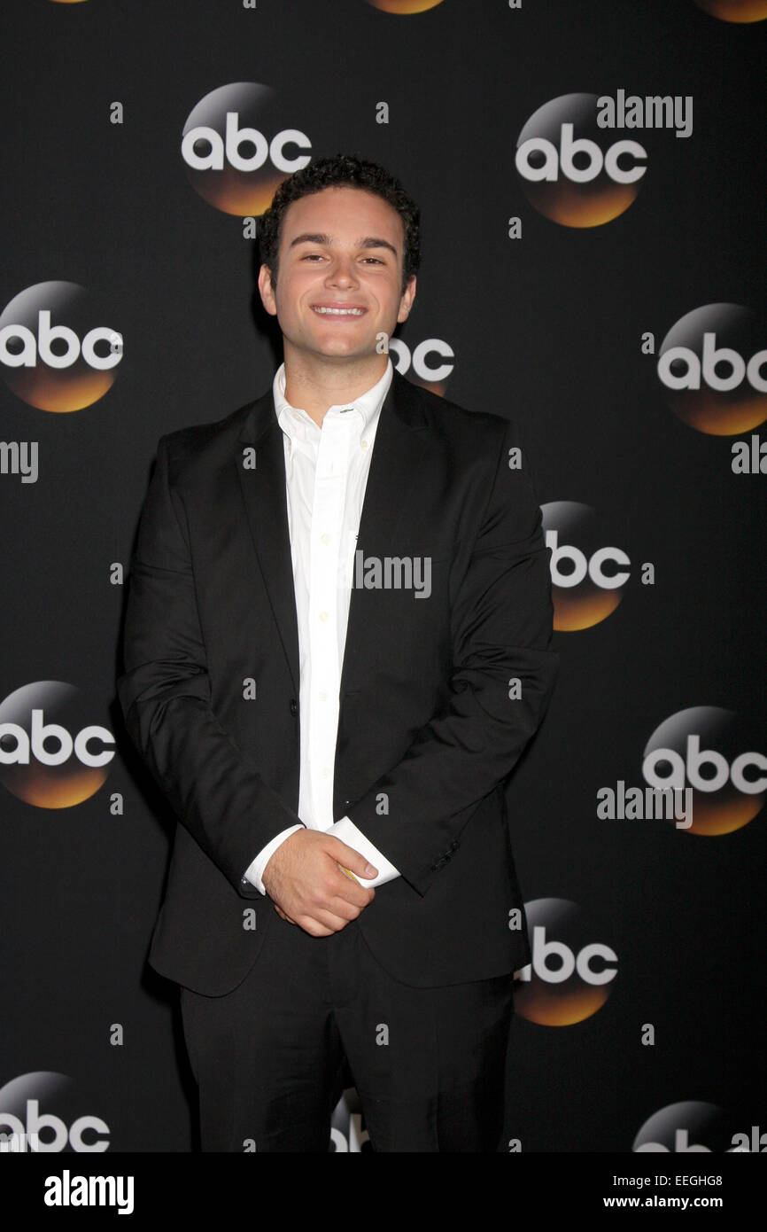 Disney ABC TCA 2014 Summer Press Tour - Arrivals Featuring: Troy ...