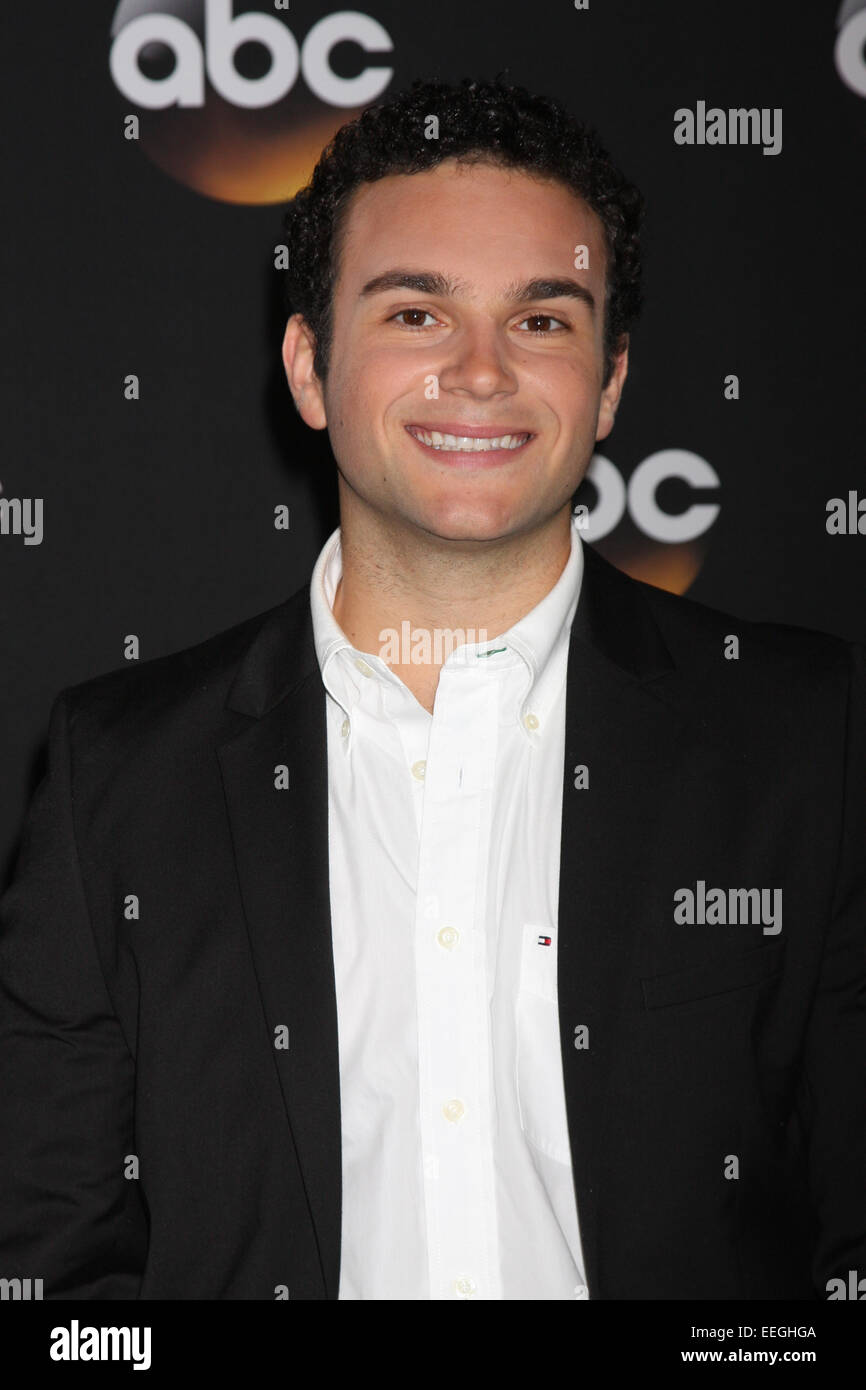 Disney ABC TCA 2014 Summer Press Tour - Arrivals Featuring: Troy ...