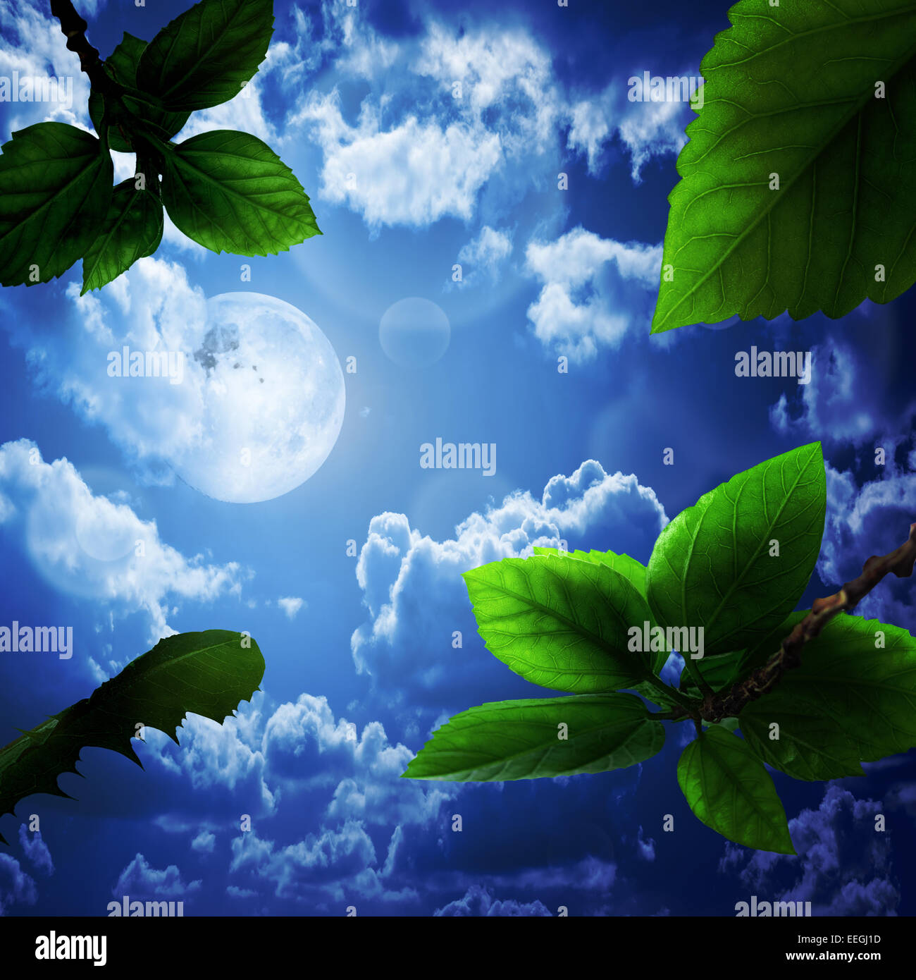 Spring or summer abstract nature background Stock Photo - Alamy