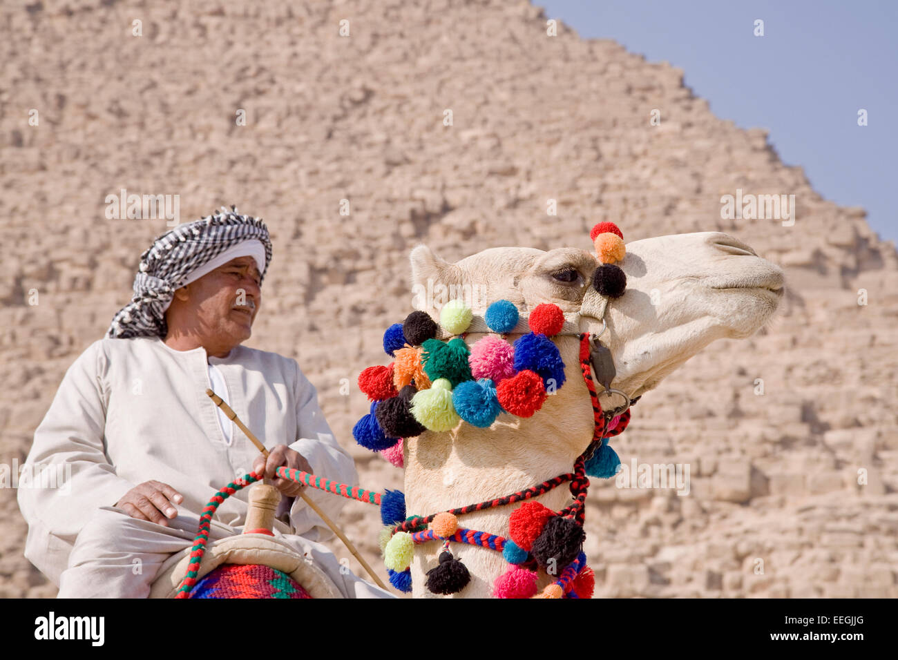 Egyptian camel rider in traditional costume hi-res stock photography ...