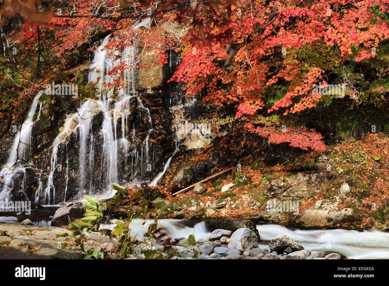 Autumn scenes in japan hi-res stock photography and images - Alamy