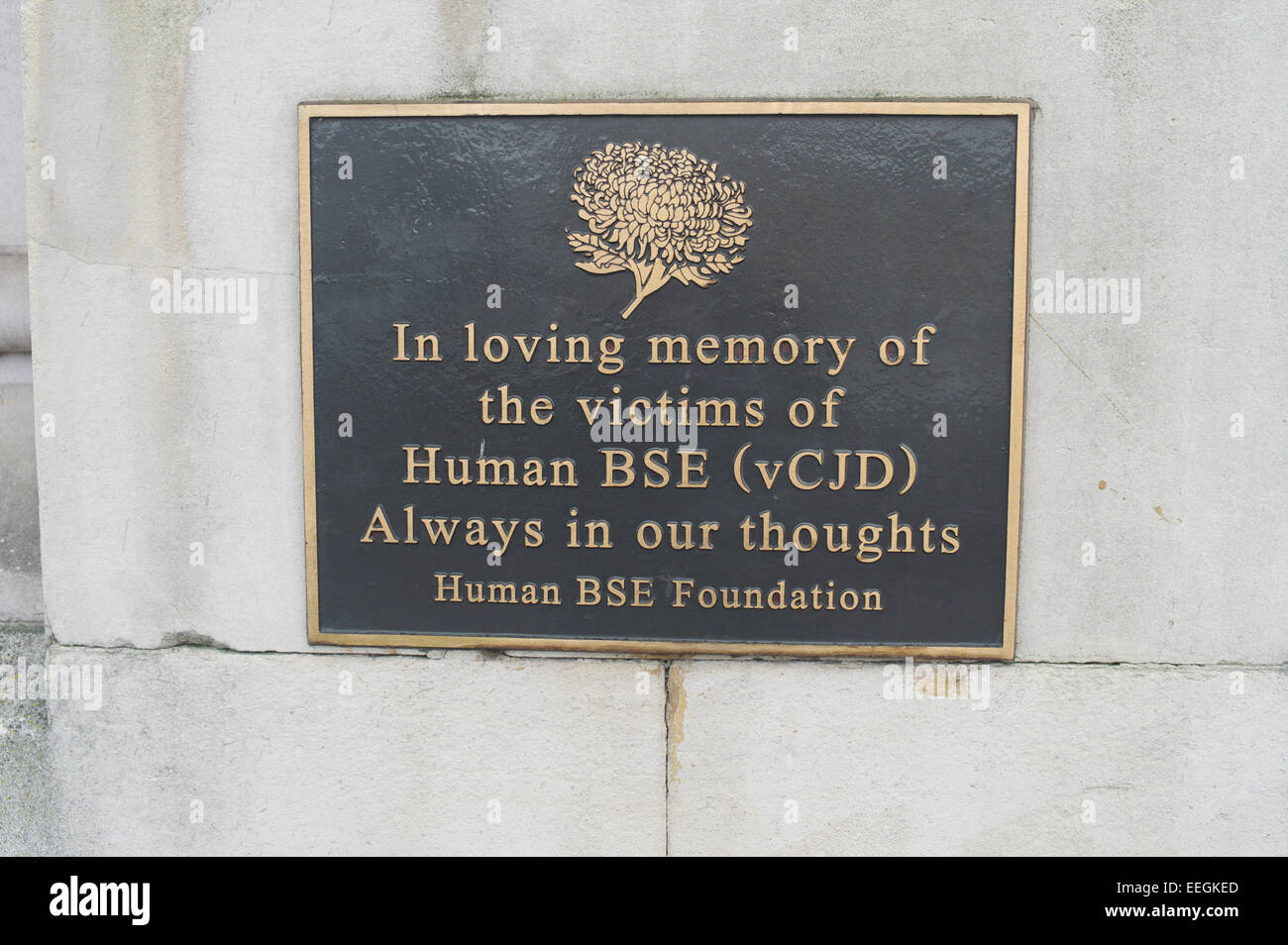 In loving memory of the victims of human BSE. Plaque in London Stock ...