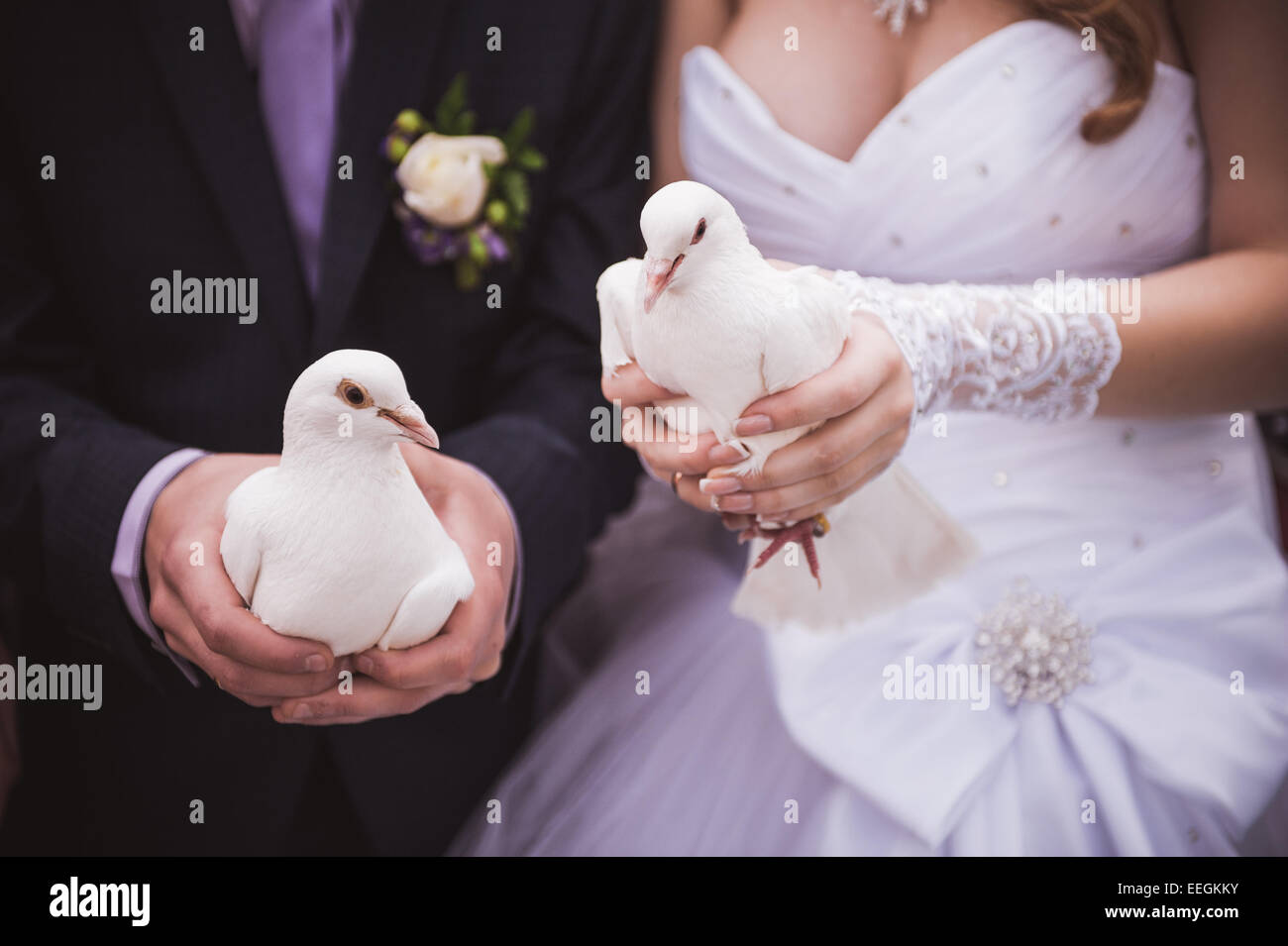 bride and groom holding two white pigeons Stock Photo - Alamy