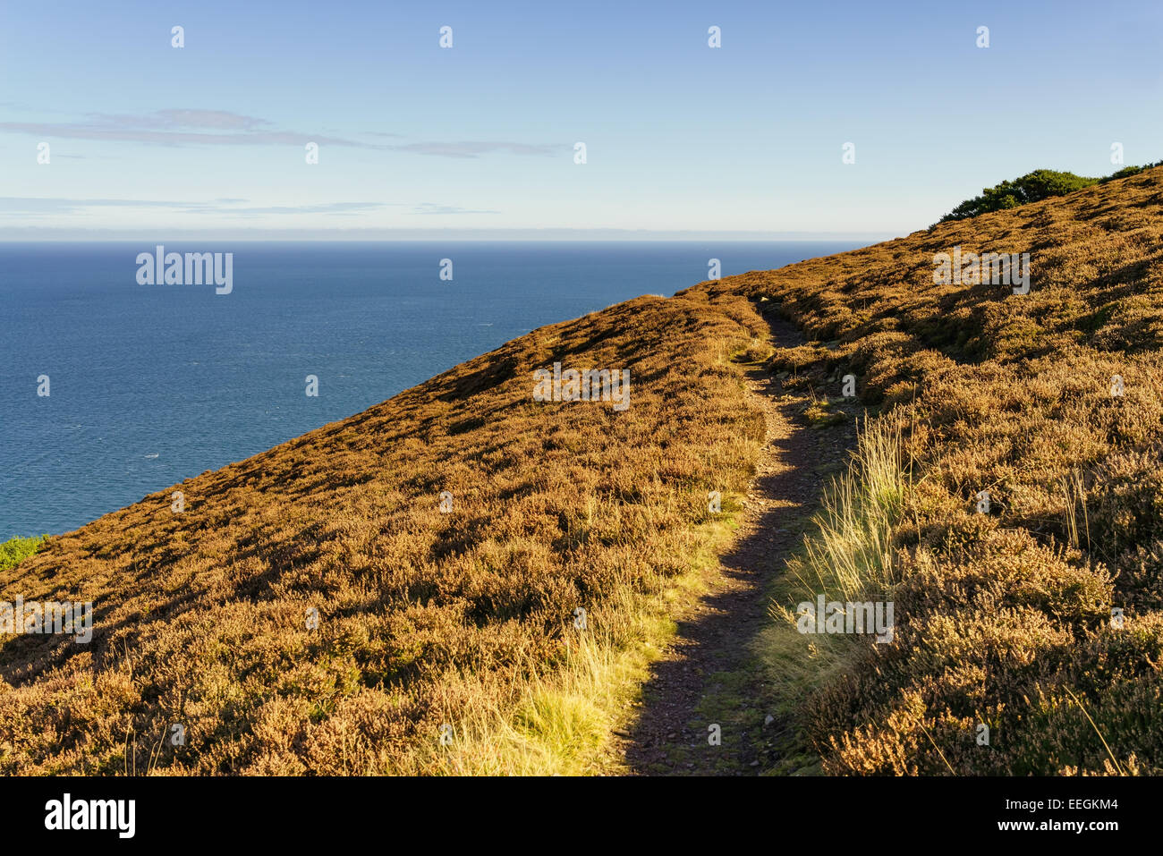Scottish cliff top hi-res stock photography and images - Alamy