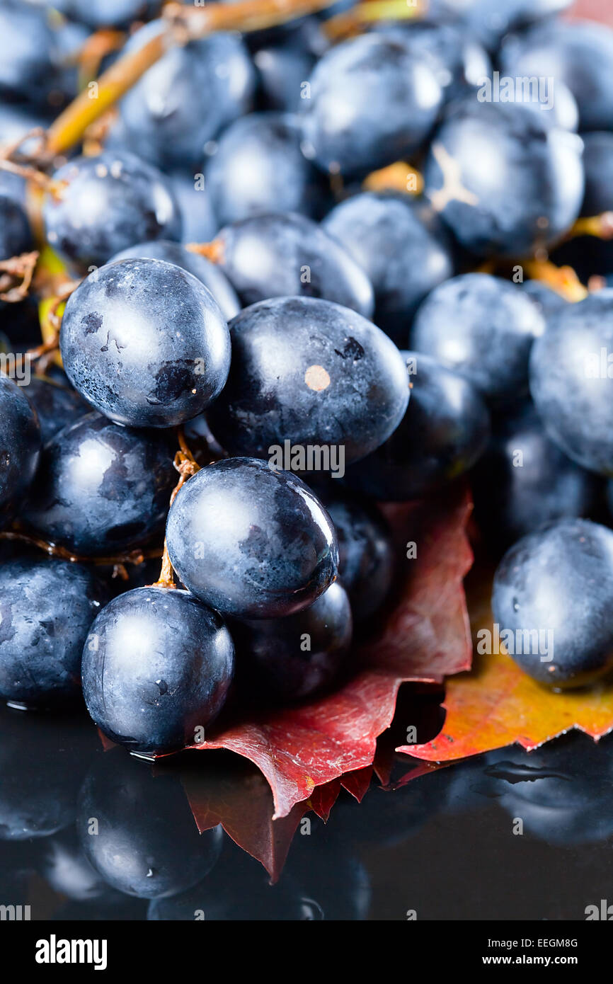 New crop of grapes ,focus on foreground Stock Photo - Alamy
