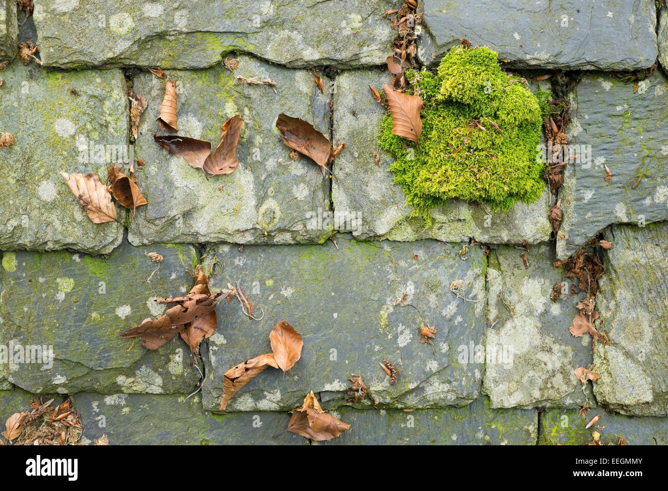Slate roof tile hi-res stock photography and images - Alamy
