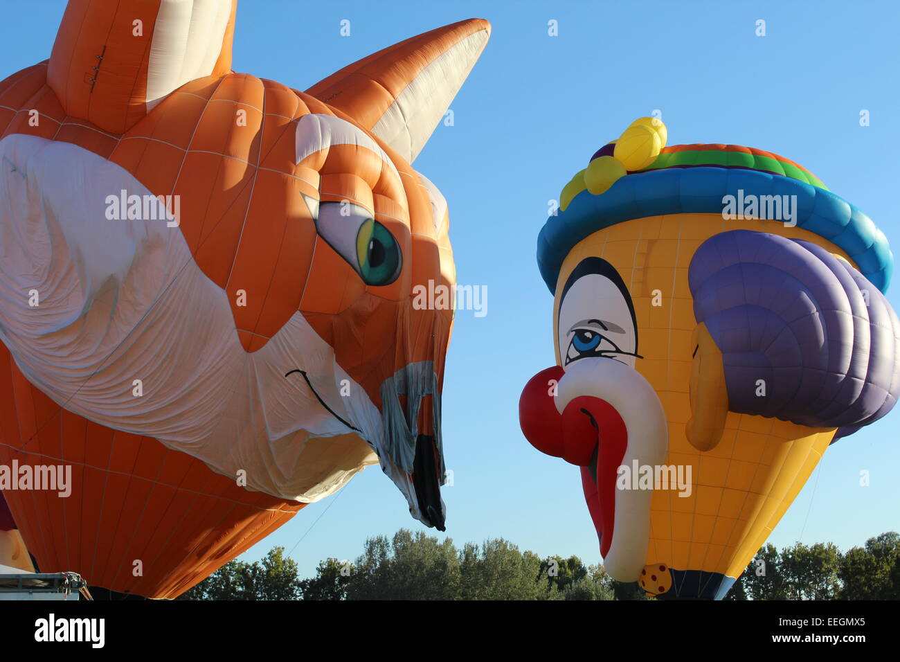 A hot air balloon shaped like a fox gets up in the sky Stock Photo - Alamy