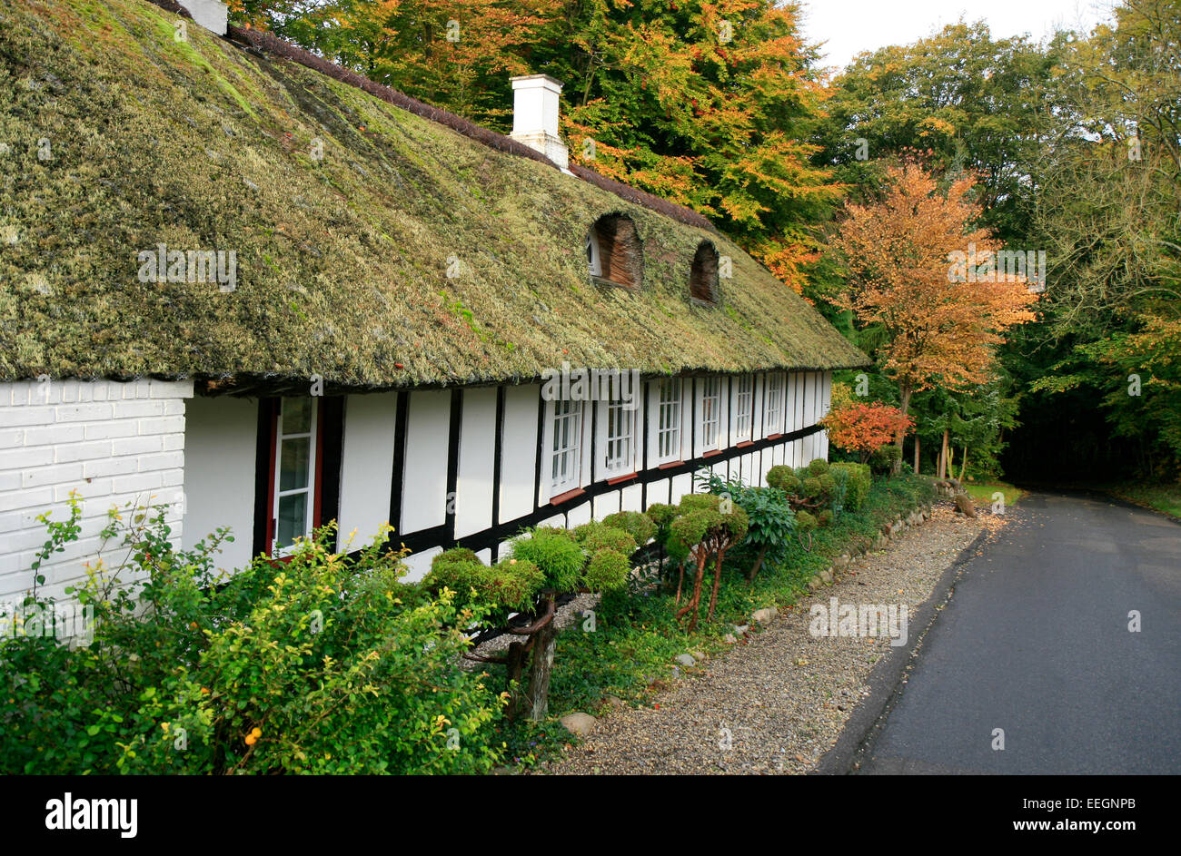 Exterior half timbered home house hi-res stock photography and images ...