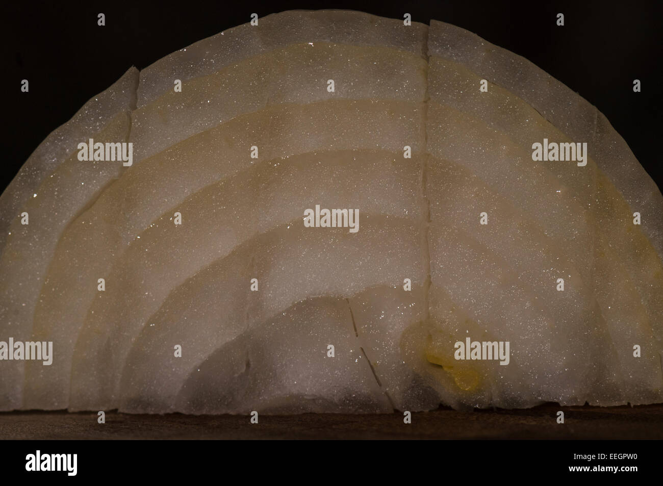 A macro photograph of half an onion showing the layers inside Stock ...