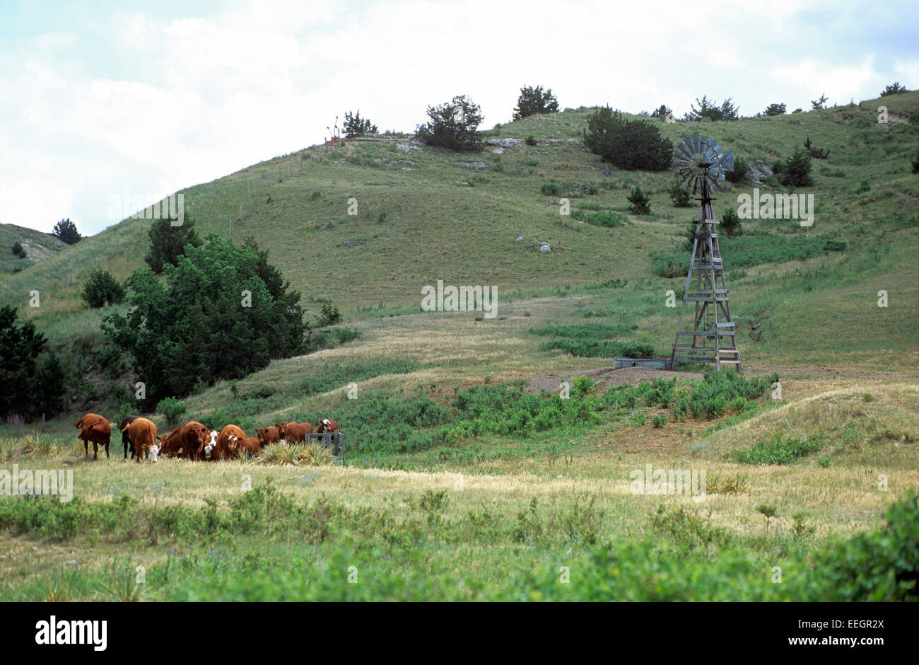 Ranch scene, Nebraska, USA Stock Photo - Alamy