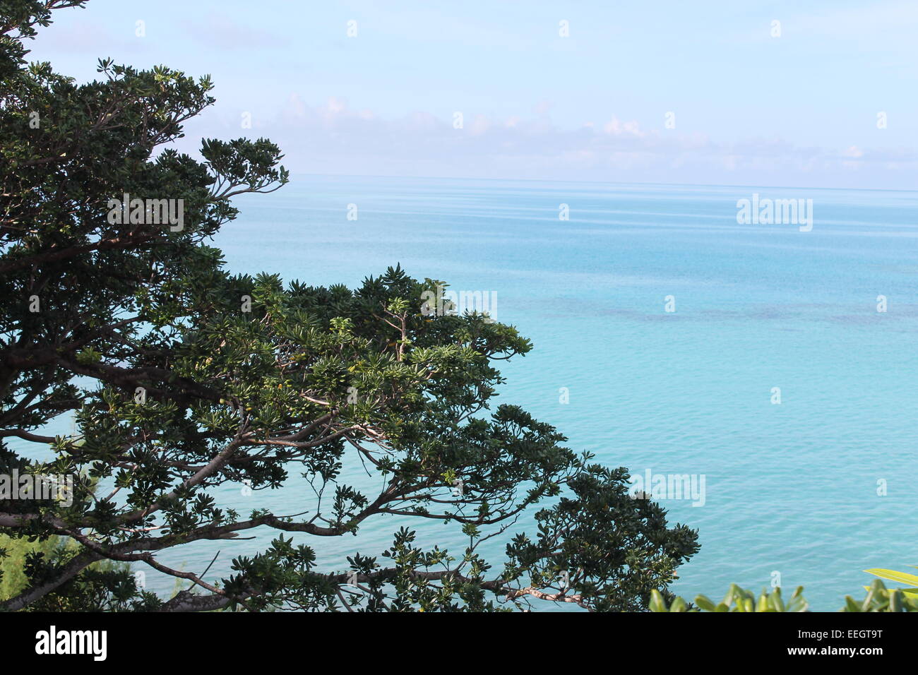Sea view, Bermuda Stock Photo - Alamy