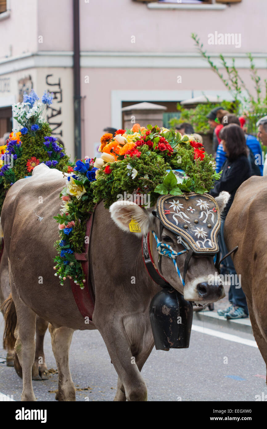 Alps cows bells hi-res stock photography and images - Alamy