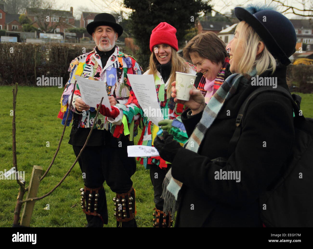 Apple fans sing to a a young apple tree as part of wassail celebrations ...