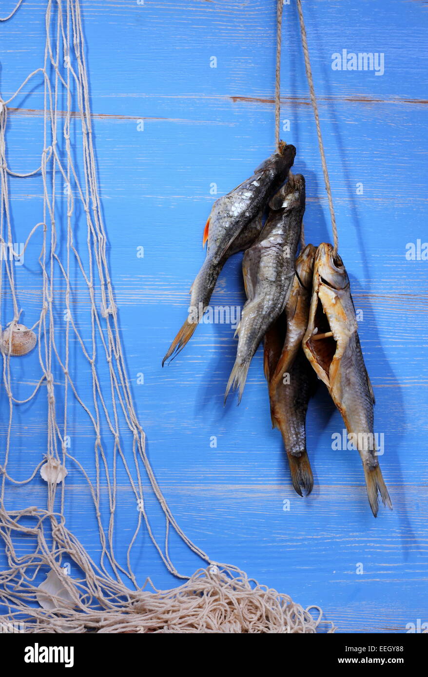 Dried rudd fish and fishing net on blue background, vertical Stock ...
