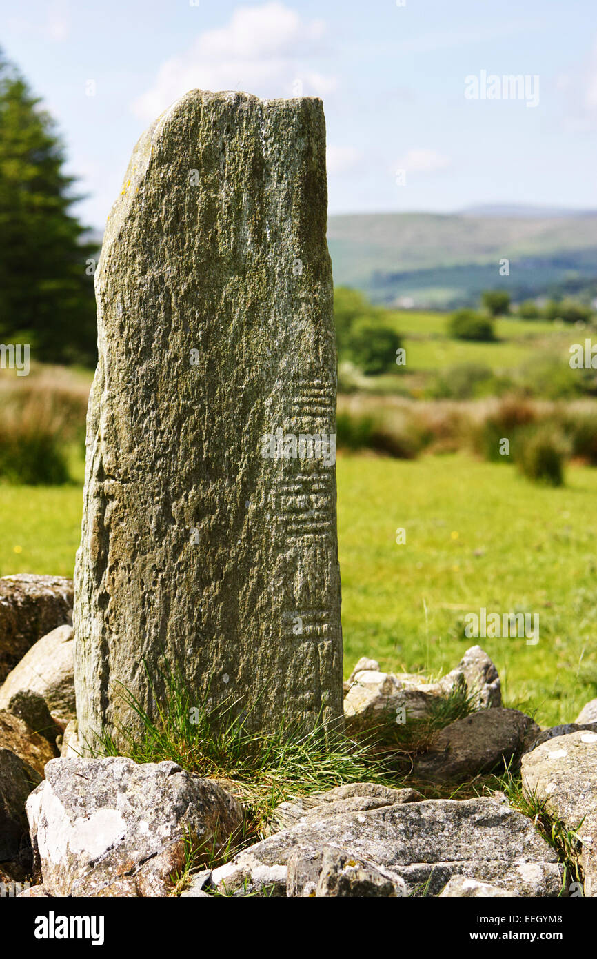 Aghascrebagh Ogham Stone county tyrone northern ireland Stock Photo - Alamy
